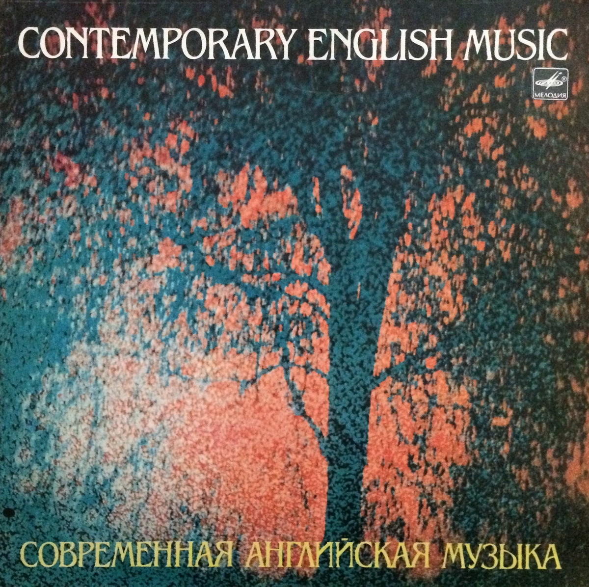 Çeşitli Sanatçılar / Contemporary English Music, LP – Vintage Records